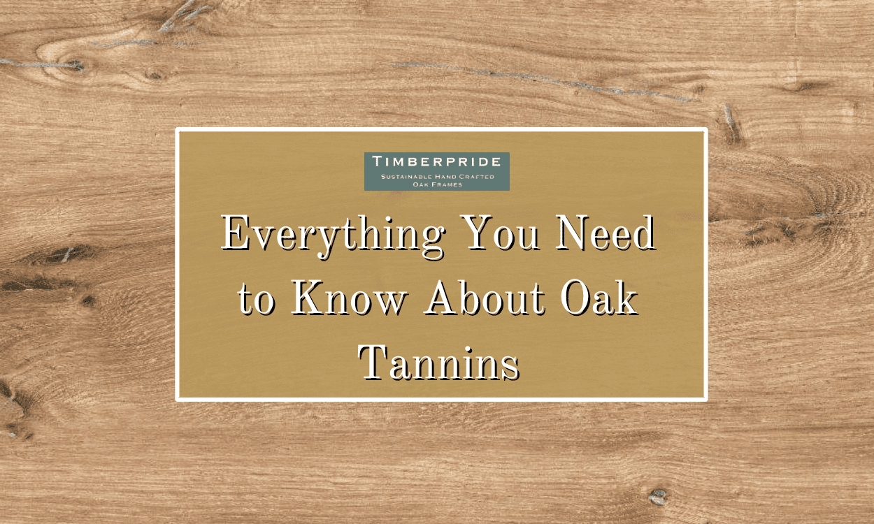 What is Oak Tannins and Why You Don't Need to Worry About It